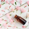 Can Essential Oil Diffusers Harm Birds? What Bird Owners Must Know