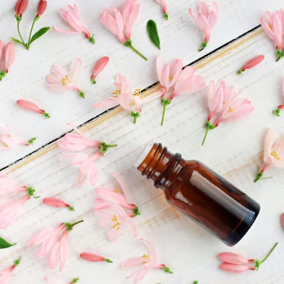 Can Essential Oil Diffusers Harm Birds? What Bird Owners Must Know